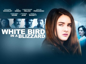 White Bird In A Blizzard Dvd Cover